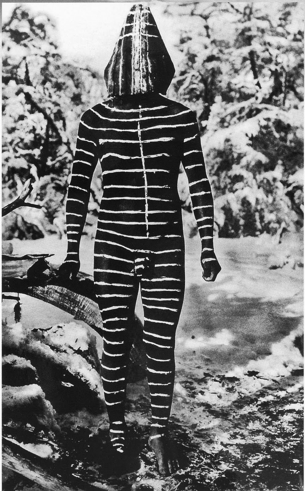 Entre blanco y negro: 30/1/11 - 6/2/11