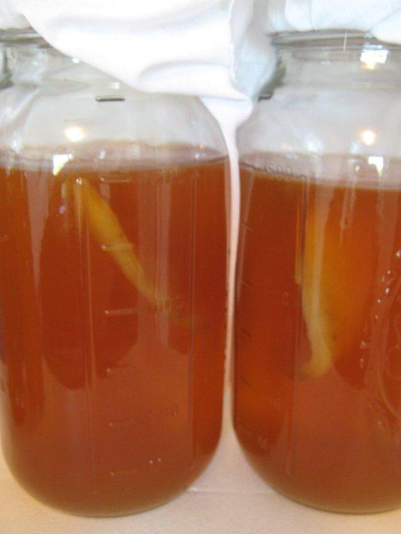 the happy raw kitchen: Kombucha, Baby! Update