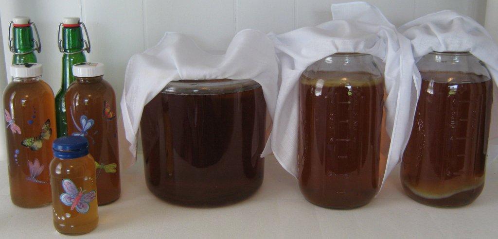 the happy raw kitchen: Kombucha, Baby! Update