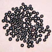 Maribel Design: Tagua and Other Seeds