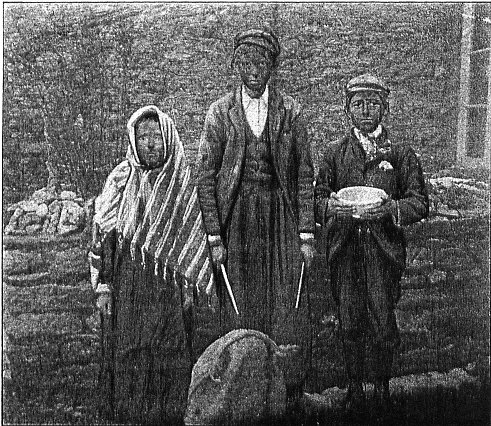 Marie Marshall, lady wot writes: The Five Champions