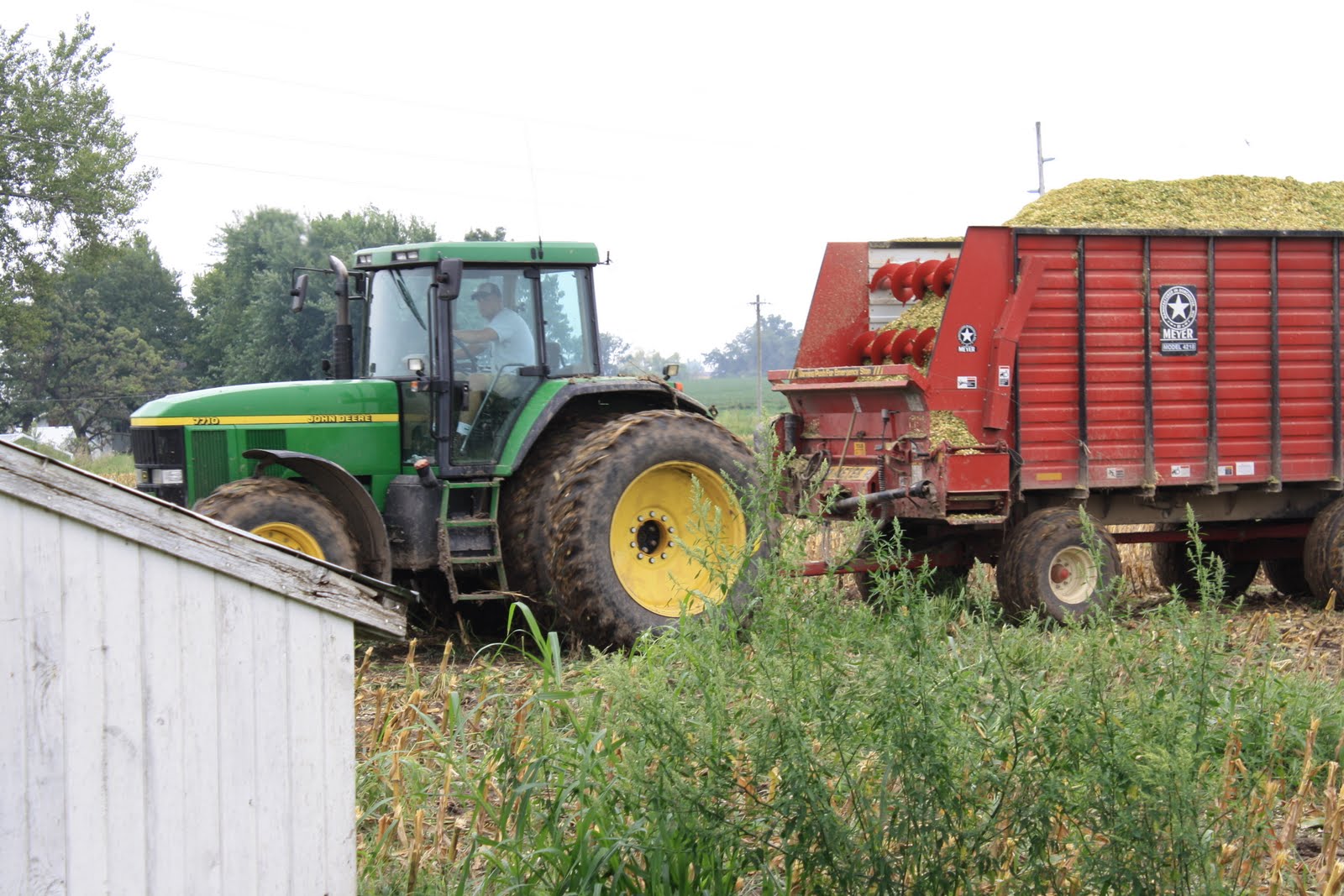 Life on a dairy: Corn Silage