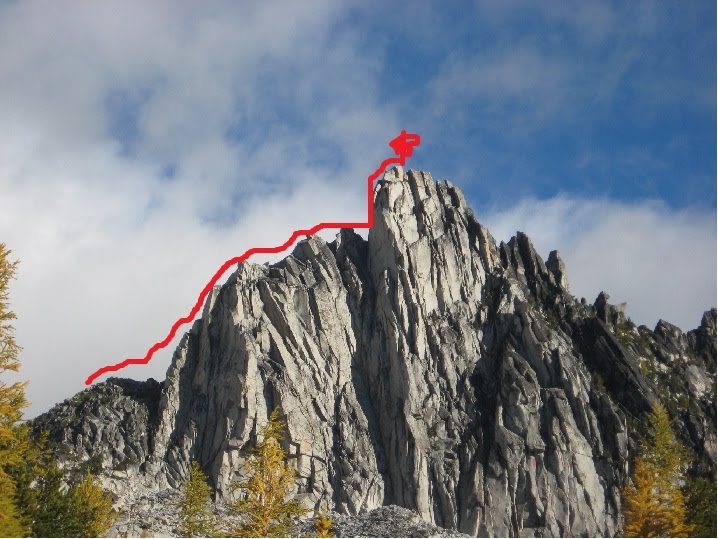 Tree Peeps: The Enchantments and Prusik Peak