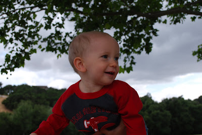 The Masyr Six: Quicksilver Miniature Horse Ranch - Solvang!