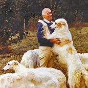 NÚCLEO DE ARQUITECTURA PAISAGISTA:: 2010 efemérides esquecidas ROBERT ZION