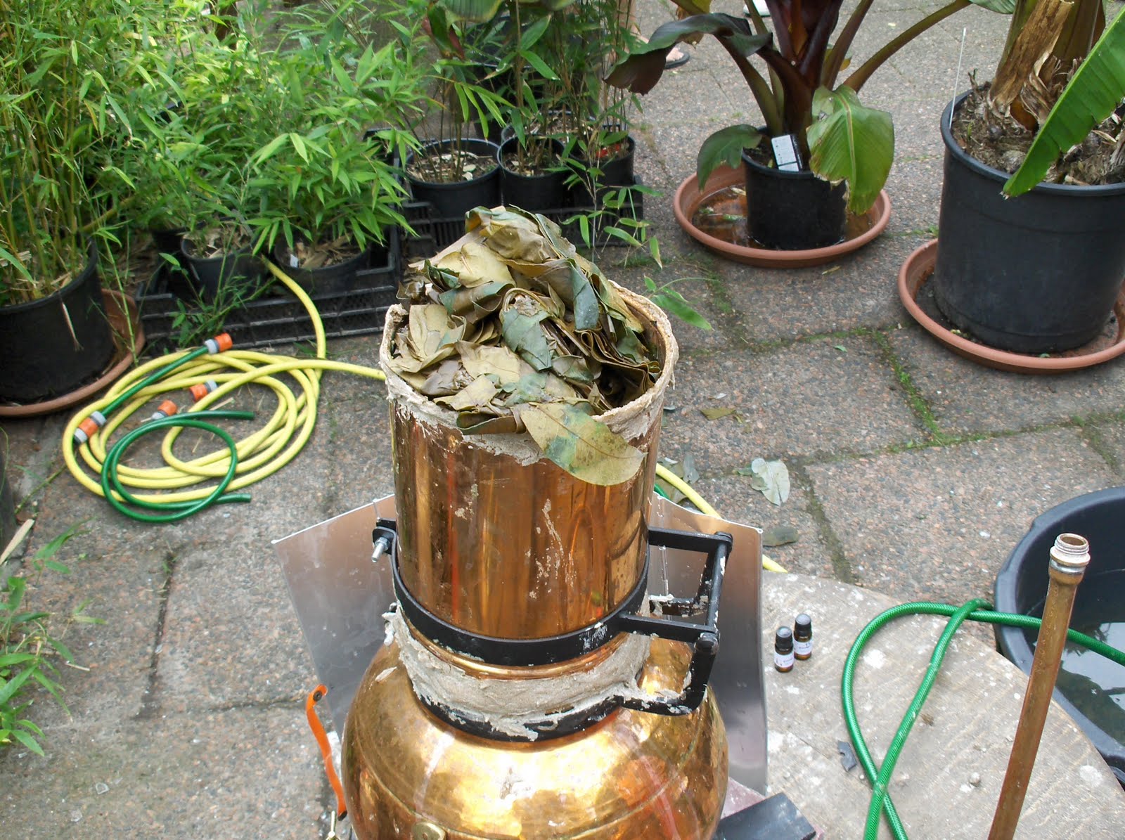 distillingherbs: Steamdistillation of lavender, eucalyptus and citruspeel