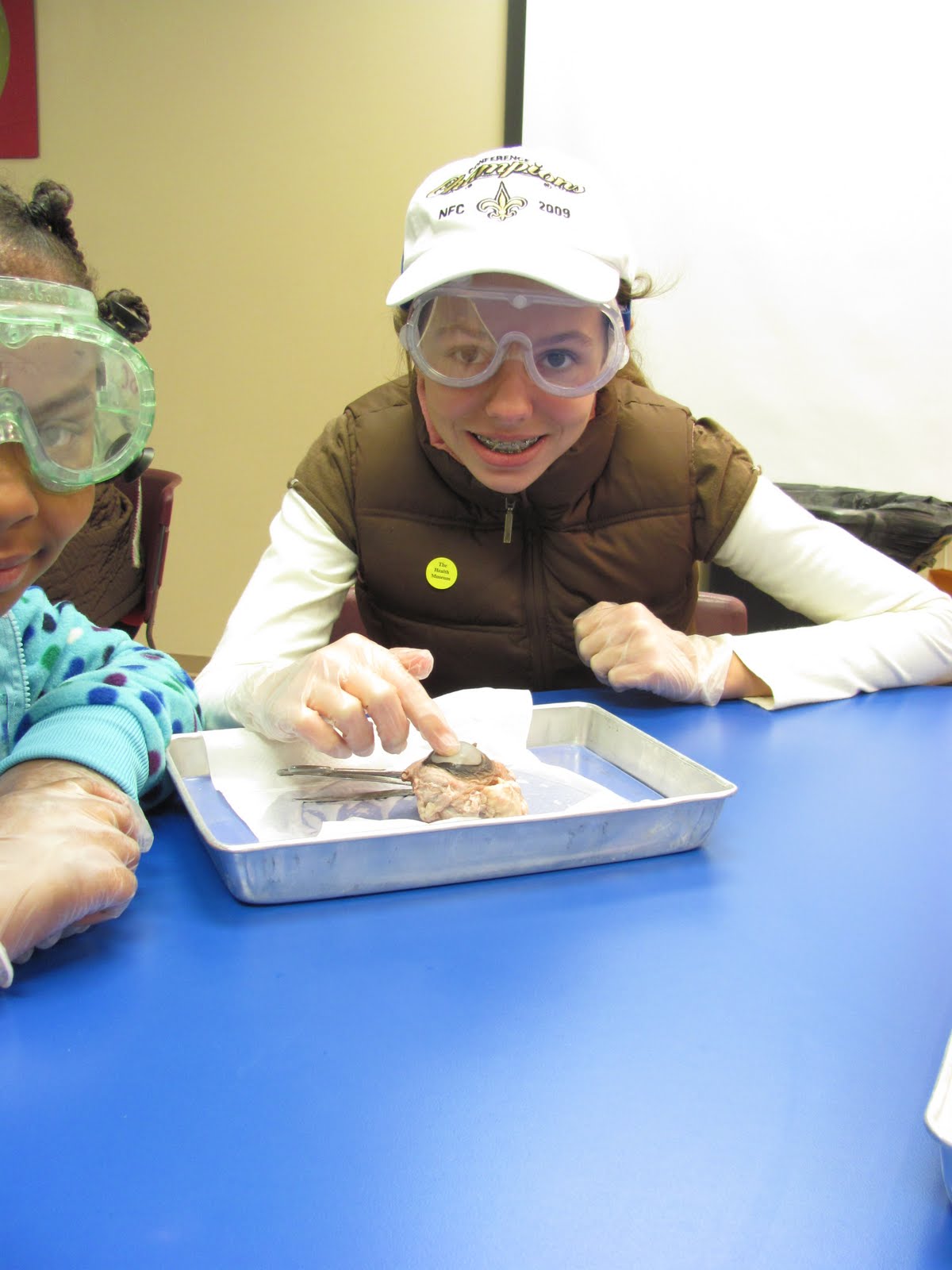 Homeschool on Pecan Drive: Dissecting a Cow's Eye