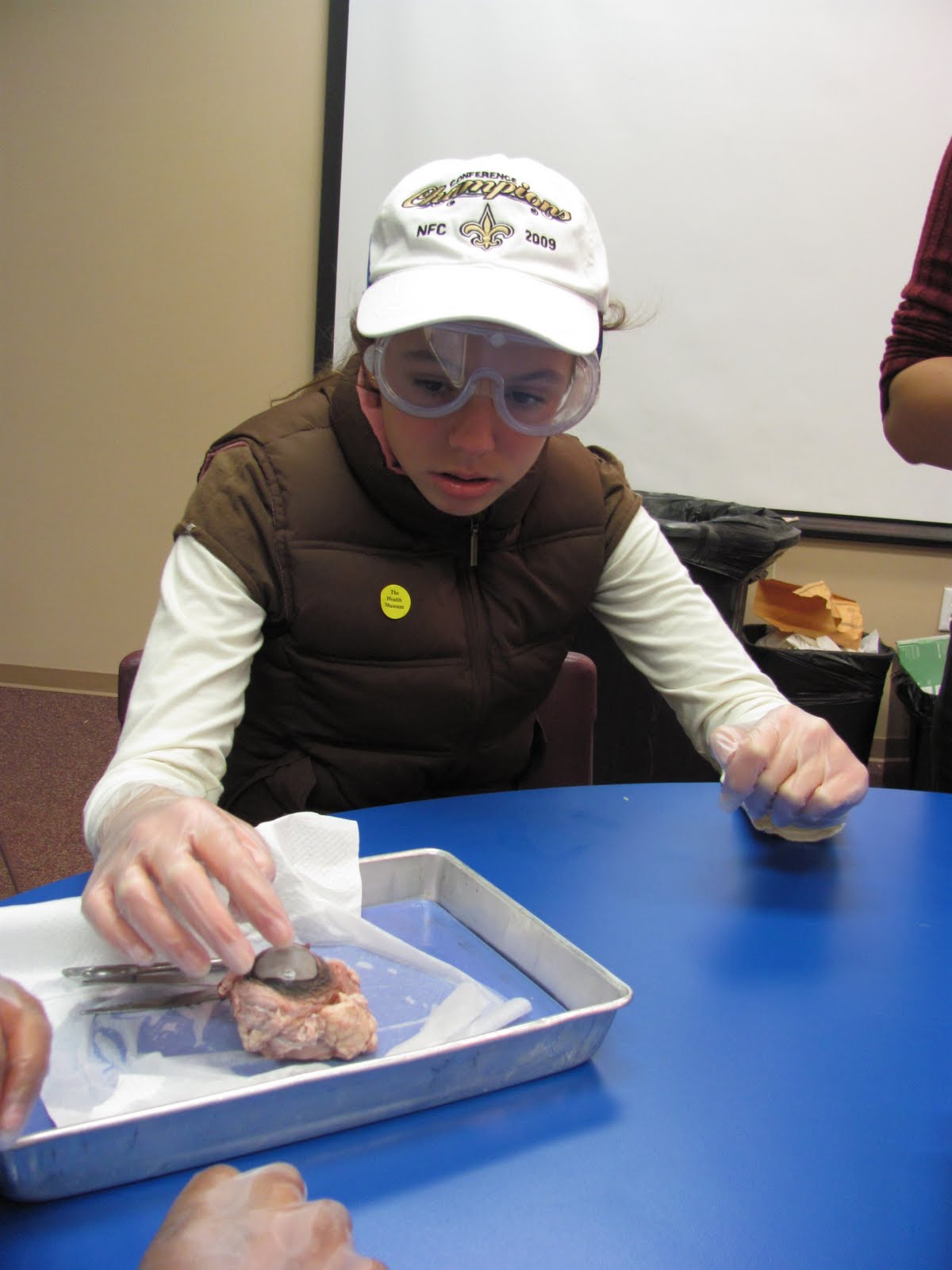 Homeschool on Pecan Drive: Dissecting a Cow's Eye