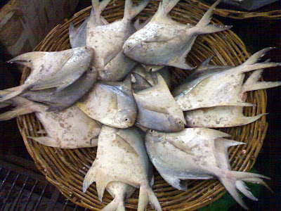 Karwar Daily Photo: Fish on display in Karwar Fish Market