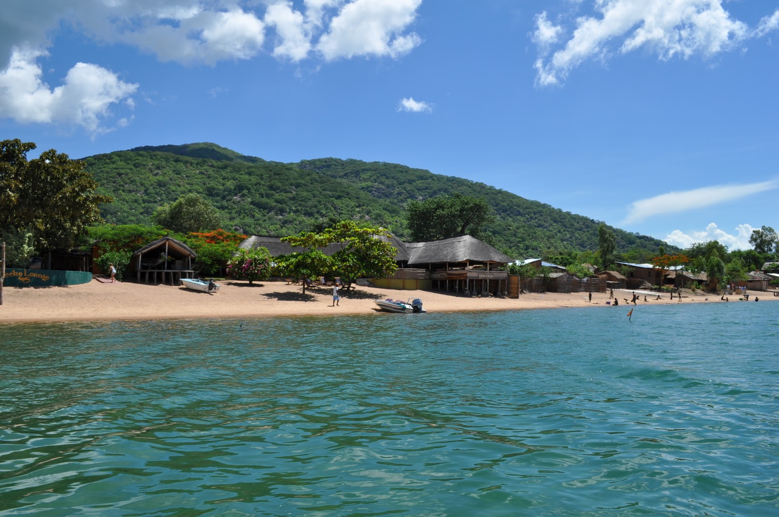 Vivendo Africa: Malawi - Monkey Bay