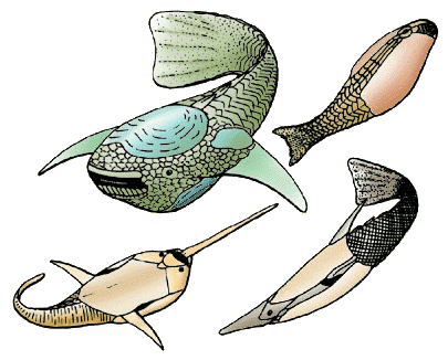 Erase una vez, en una era muy lejana...: Periodo Ordovícico.