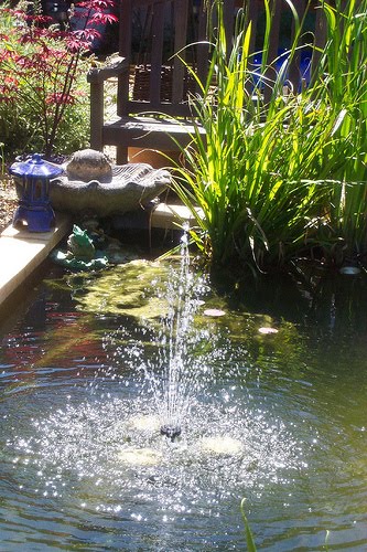 Pond Liner Blog: Install a Disappearing Fountain Basin in Your Pond ...