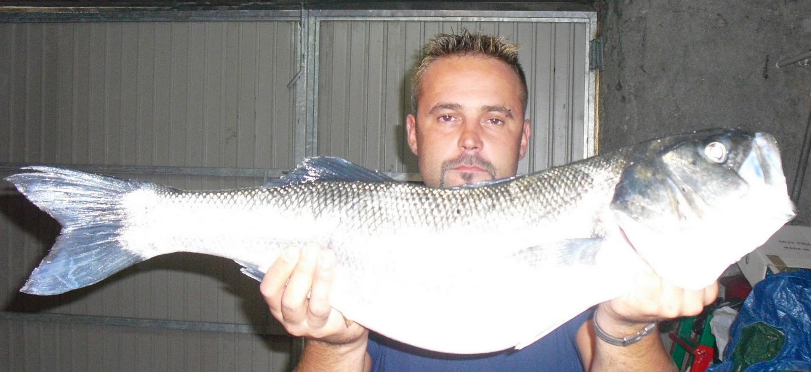 solorobalizas: Un buen róbalo