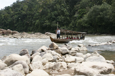 Taman Negara "National Park": Rapid Shooting