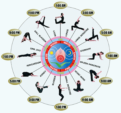 Baby Making: Meridian Exercise