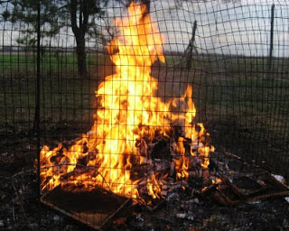 The Peace Bee Farmer: Burning Bee Hives