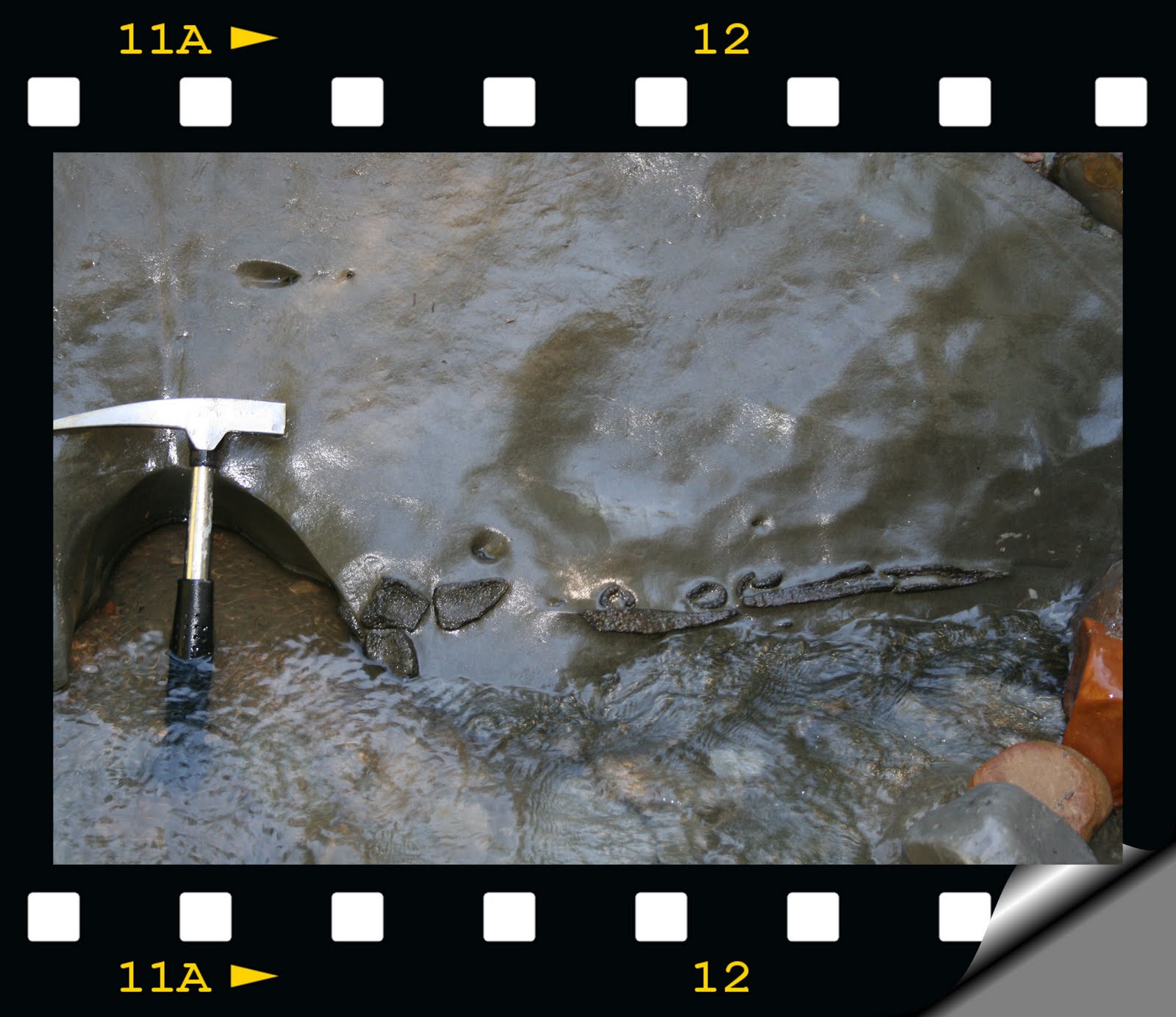 TANE-NUI-A-RANGI: THE BEGINNING