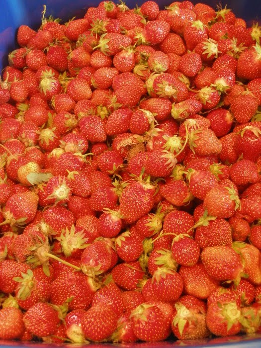 Thy Hand Hath Provided: Preserving: Freezing Strawberries