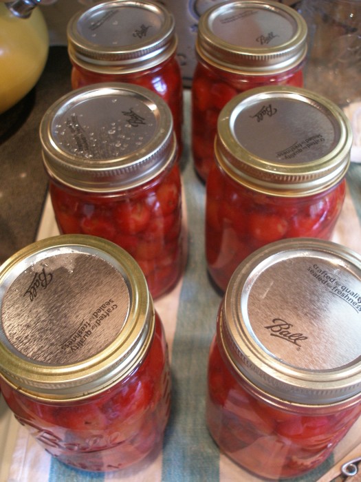 Thy Hand Hath Provided: Canning Prep and Method