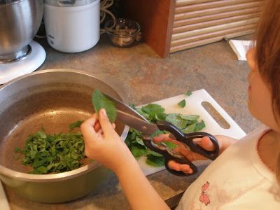 Thy Hand Hath Provided: What To Do With Mint