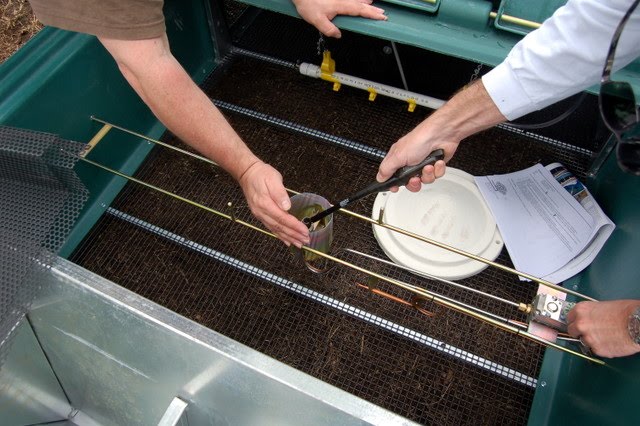 Moe Bird Hunts: Pheasant Surrogator... The Project Begins....