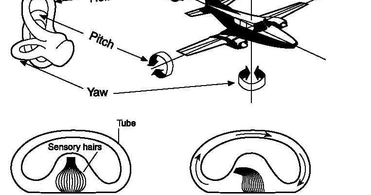 The Major Illusions Leading to Spatial Disorientation | Know To This ...