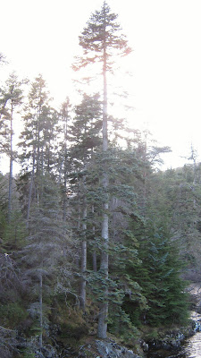 coastrider: highland daytrip..Pt 4 of 4...