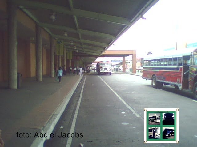 Terminal Nacional de Transporte de Albrook