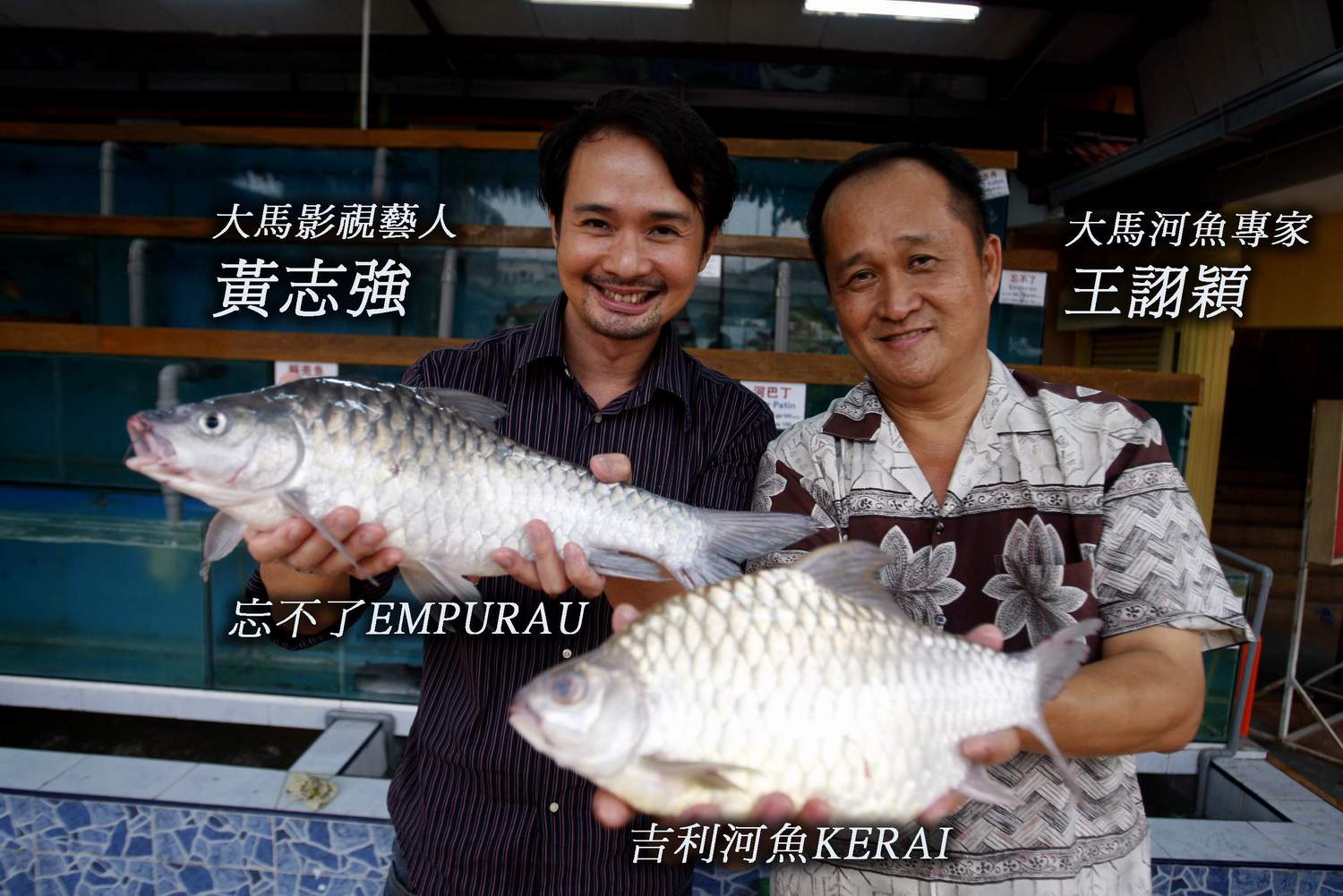 马來西亚河鱼网: 吉利鱼
