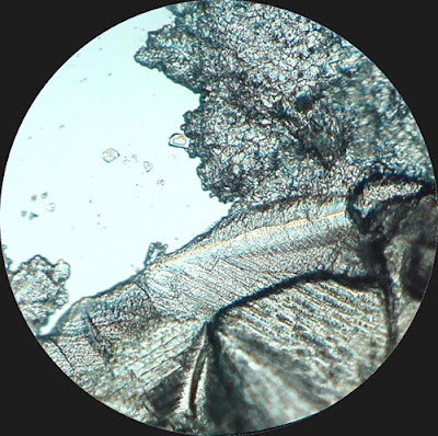 The Wonderful Microworld: Crystal Landscape - Salt Crystals