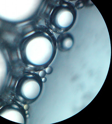 The Wonderful Microworld: Soap Bubbles Through The Microscope