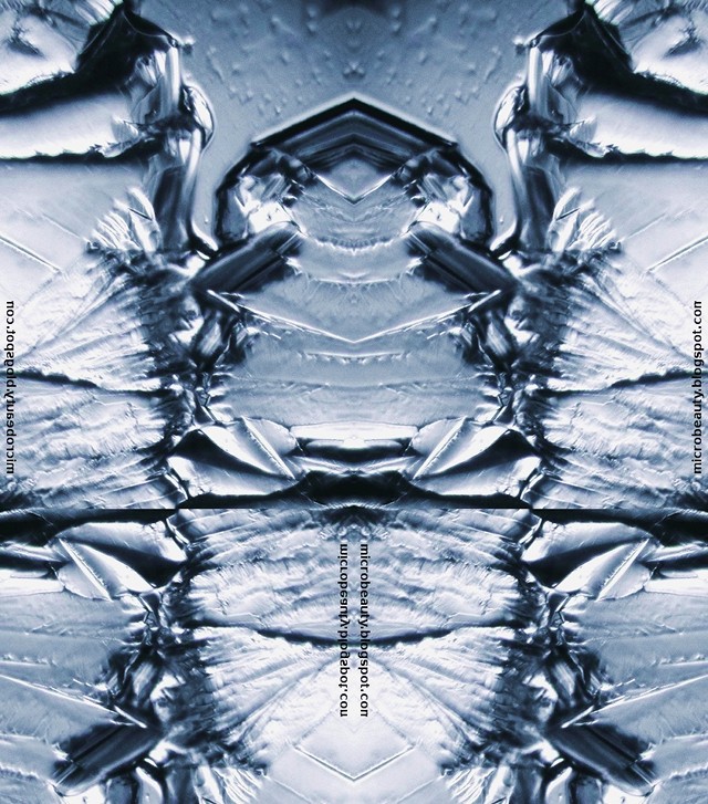 The Wonderful Microworld: Art With Micrographs!