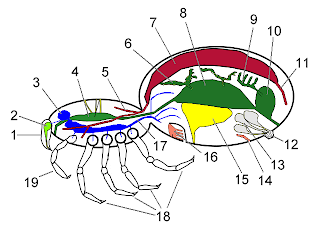 Indigorayz: Im not Keen, but certainly interested