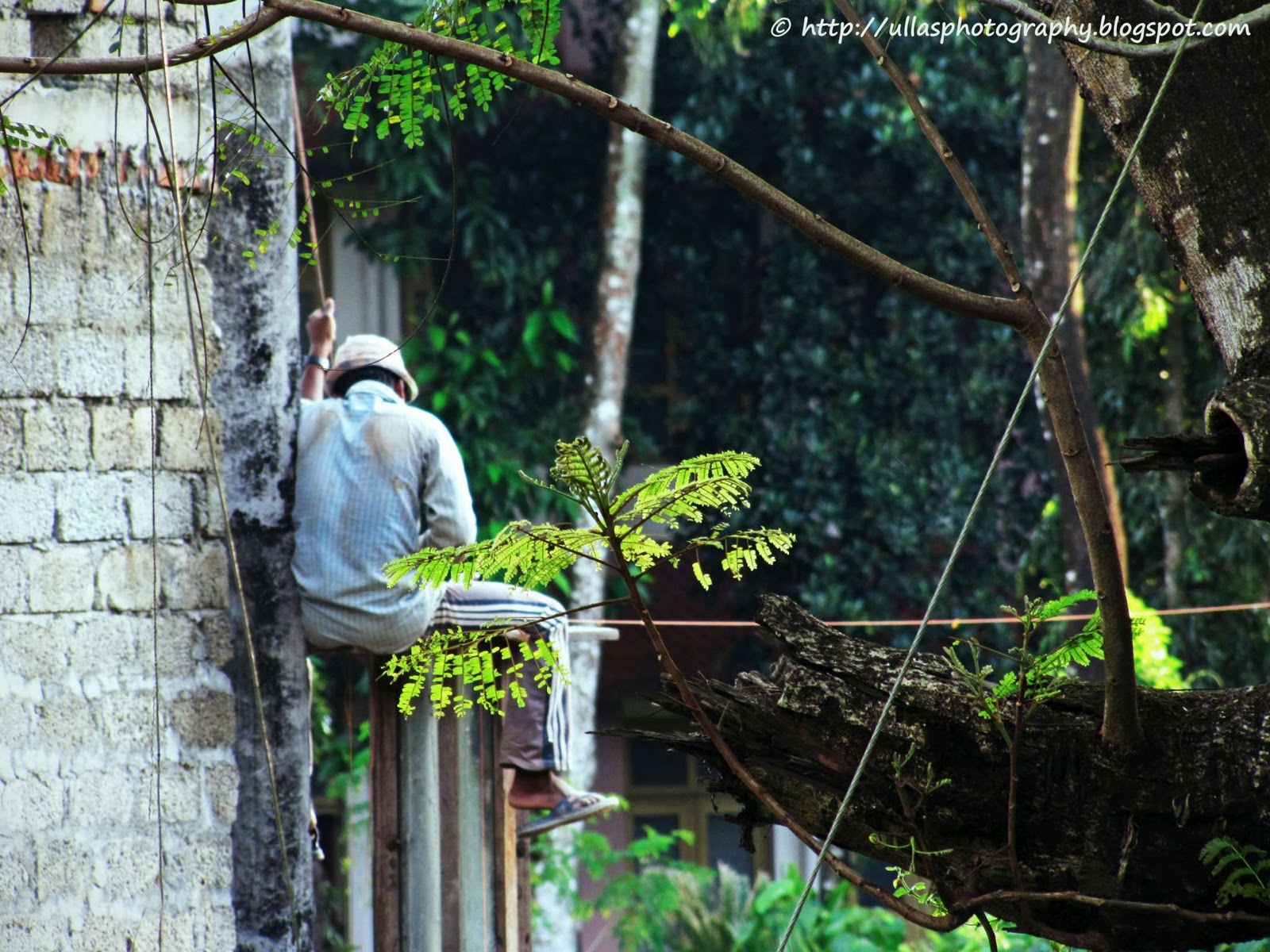 A tribute to CUSAT (Campus photos) Part 2 - CusatXpress