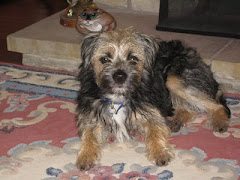 The Weaver of Grass: Another scorcher