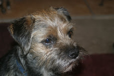 The Weaver of Grass: Another scorcher