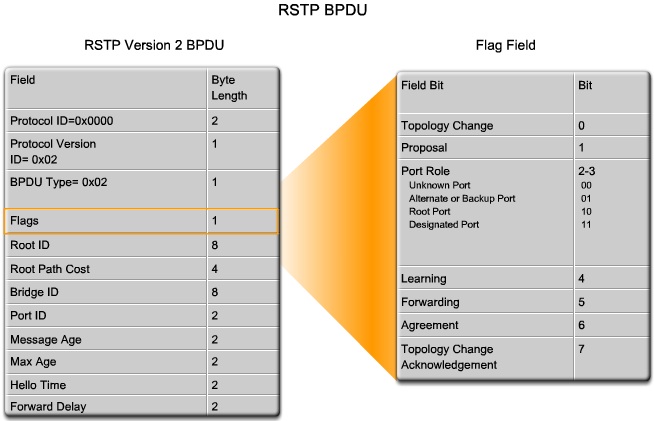 CCNA - cisco: STP - Spanning Tree Protocol CCNA - cisco: STP - Spanning Tree Protocol