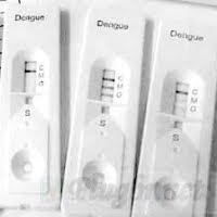 Diagnóstico de dengue – Teste rápido, como funciona este exame ...