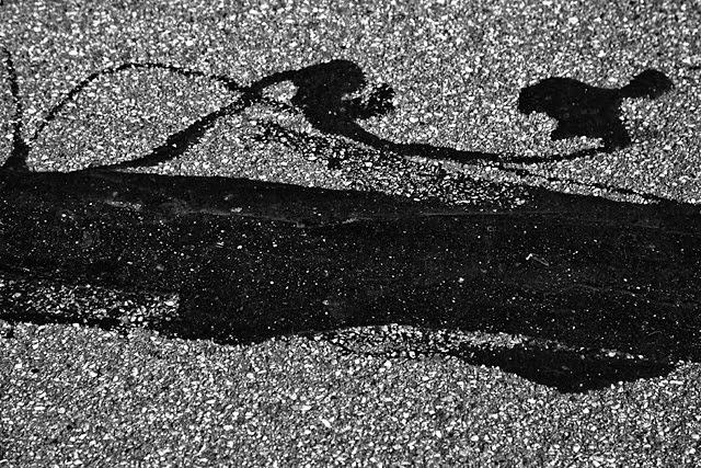 Photography on the rocks: Tar