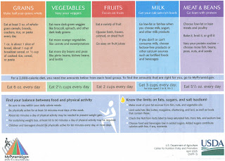 Homestead Happenings: THE BASIC SEVEN FOOD GROUPS