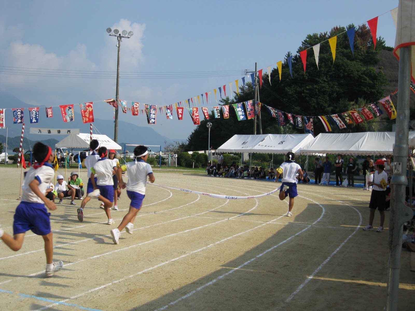 Japan Penguin: Sports Festival