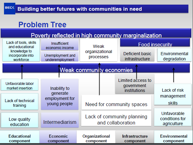 Beck Community Development Foundation: Getting to the root of the problem