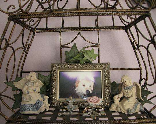 Kindred Spirits Gift Shop, LLC: Displaying Sarah's Angels Collectibles