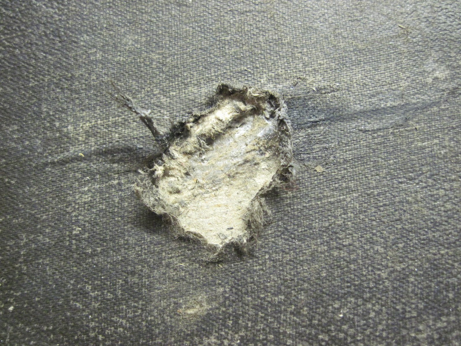 Fine Book Binding and Restoration: Leather Conservation Reback