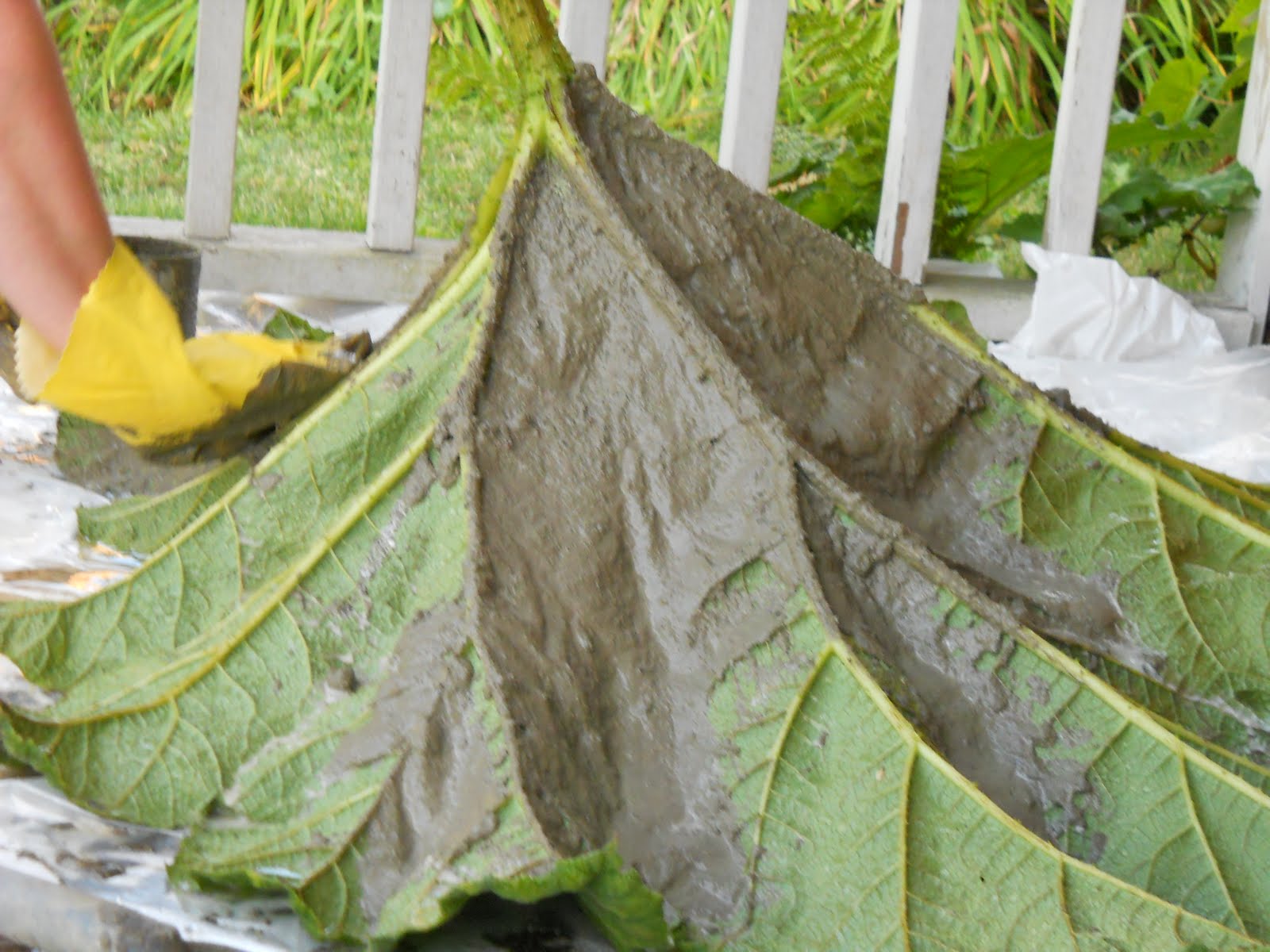 Flowers and Weeds: Concrete Leaf Casting : First Attempt