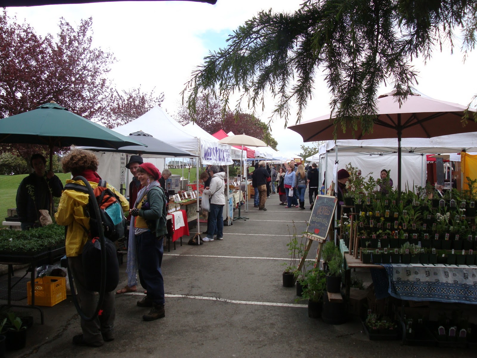 rendez-vous à Salt Spring Island: Saturday Market