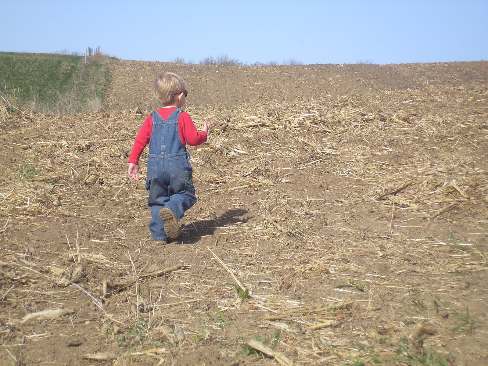Stang Family of Five: A Great Day Out On The Farm!!!!