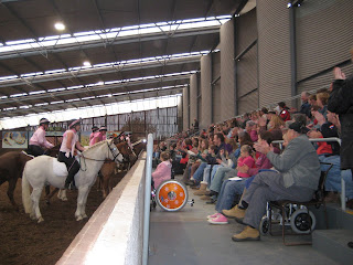 Jive Pony: Avon Riding Centre Autumn Gala