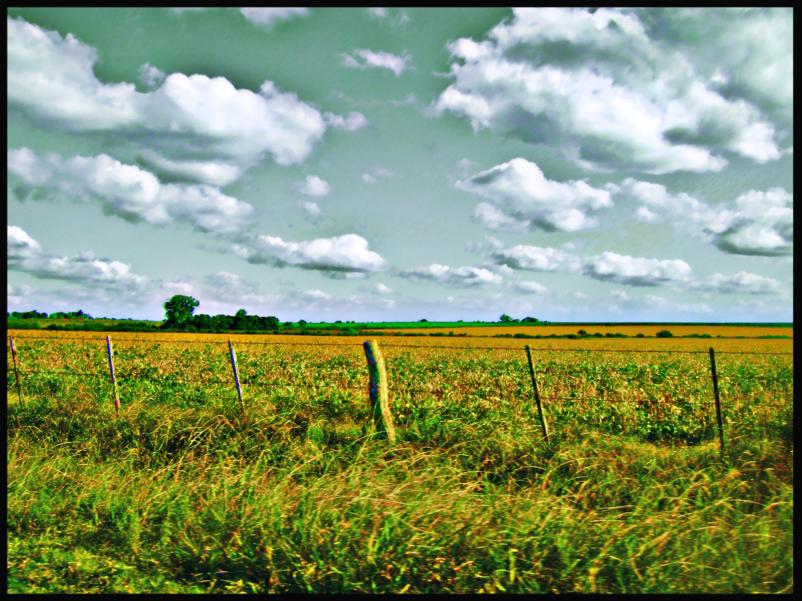 emüller: Campos en Gilbert - Entre Rios