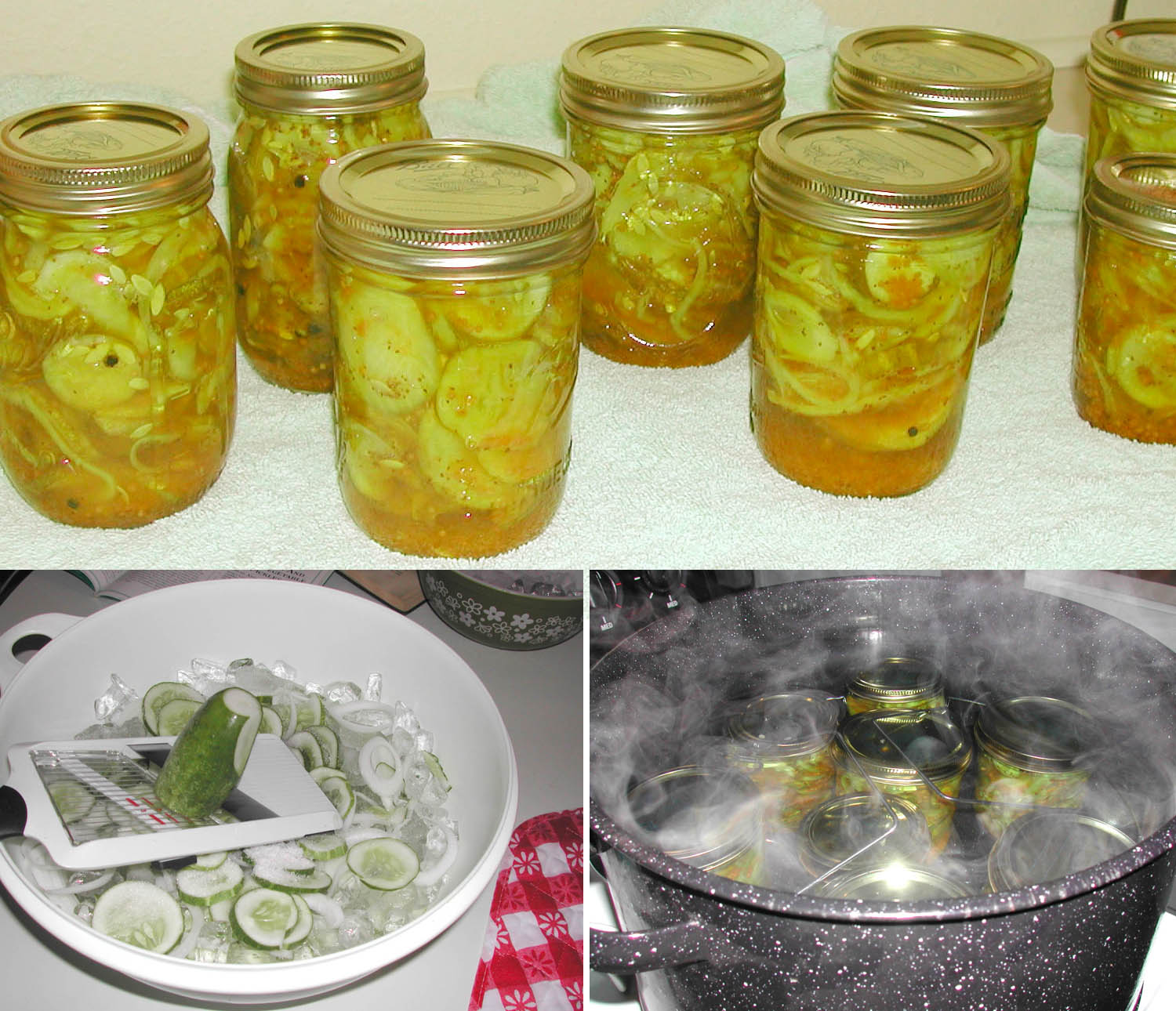 The Iowa Housewife: From the Garden...Bread and Butter Pickles